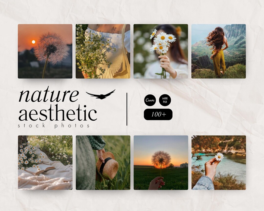100 Nature Stock Images With MRR and PLR, Instagram Outdoor Images ...