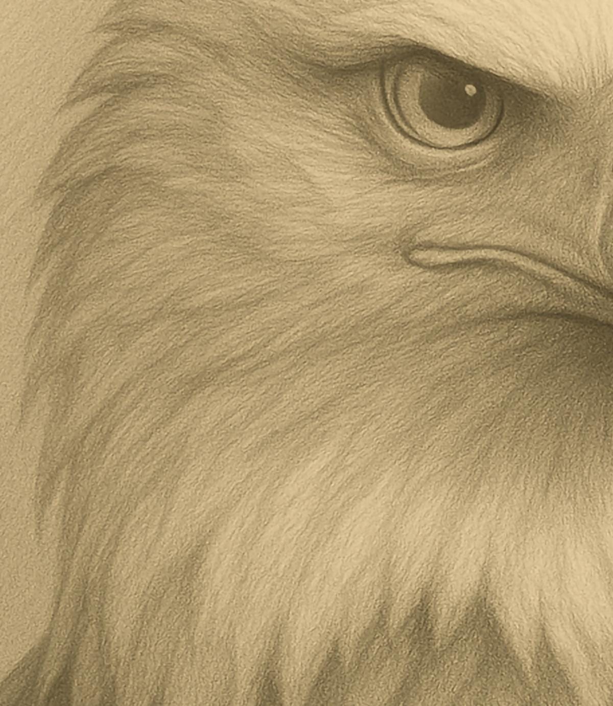 Digital Download – Eagle Pencil Drawing (set of 2) - Etsy