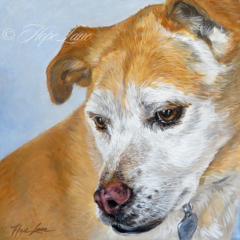 Rescue Dog Painting, Custom Pet Portrait, Original Dog Portrait, 12 X ...