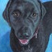 Custom Pet Portrait Yellow Lab Painting Labrador Retriever - Etsy