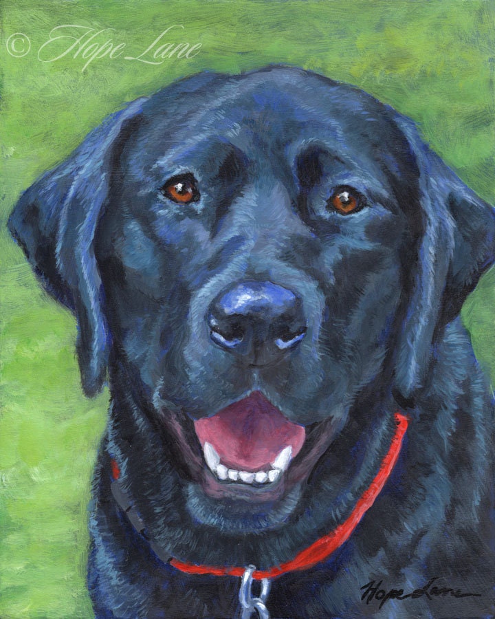 Black Lab Portrait Painting