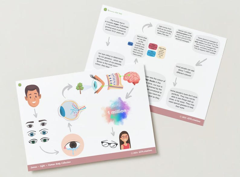 Senses/sight Flowchart for Children, 3yrs, Educational - Etsy