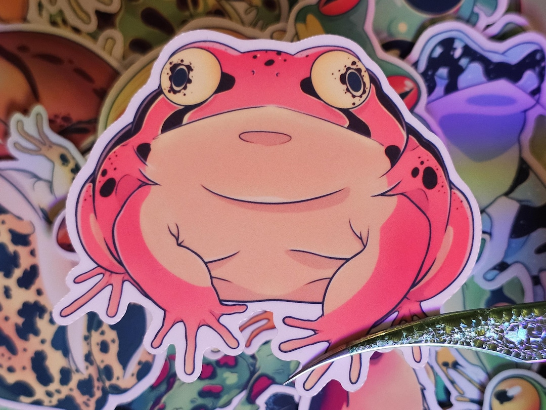Tomato Frog Sticker - Etsy