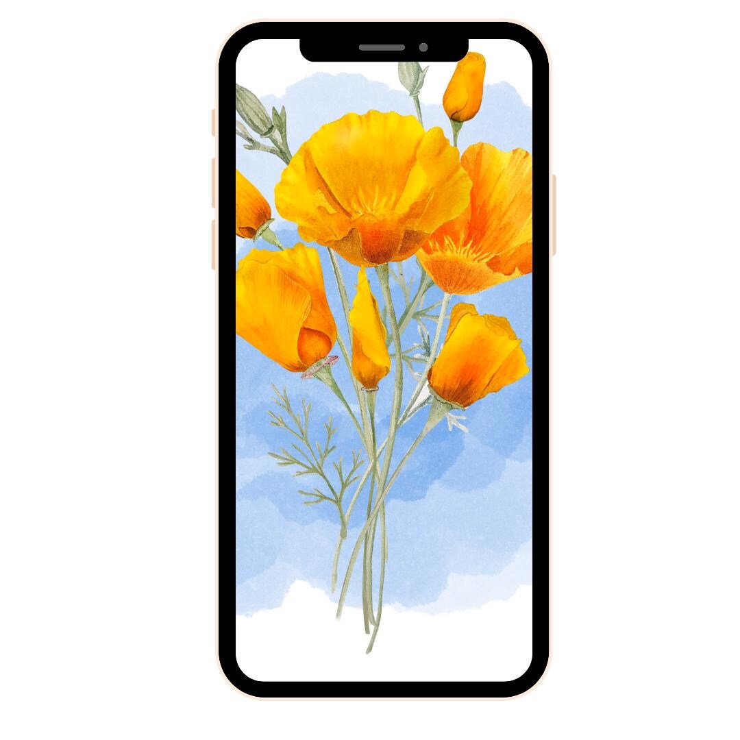 Watercolor California Poppy Phone Wallpaper | Bright Floral iPhone ...