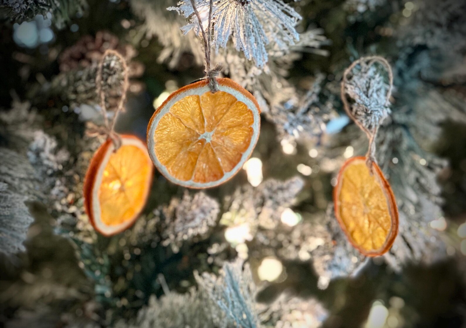 Natural Dried Orange Slice Oranament, Christmas, Yule, Citrus, Winter ...