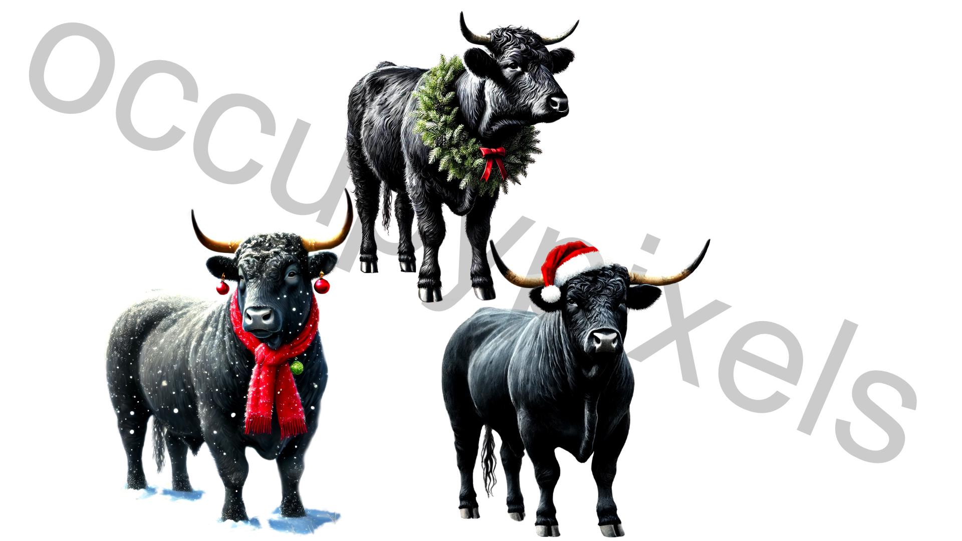 Black Angus Cow, Black Angus Png,cute Black Angus Png,angus Cow Clipart ...