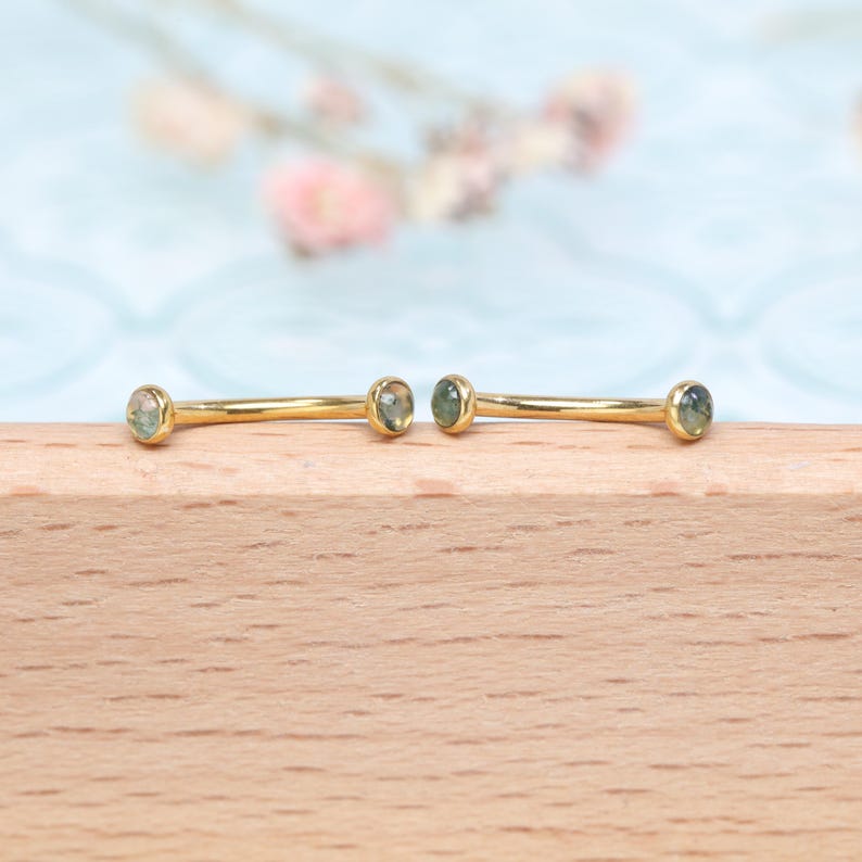 Titanium Moss Agate Rook Piercing Eyebrow Piercing Cartilage Piercing ...