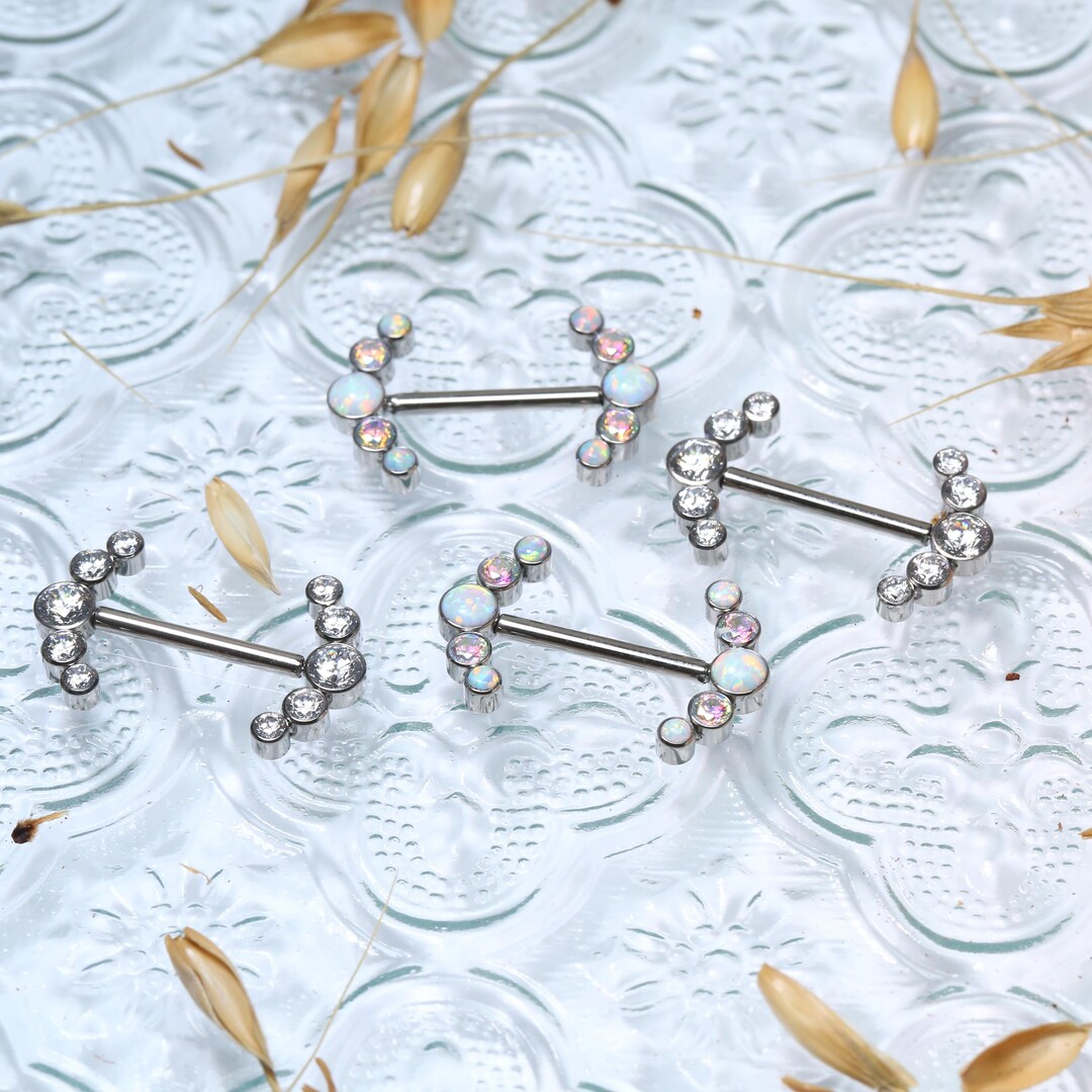 Silver Nipple Piercings -titanium- Nipple Rings -14G G23 Solid Titanium ...