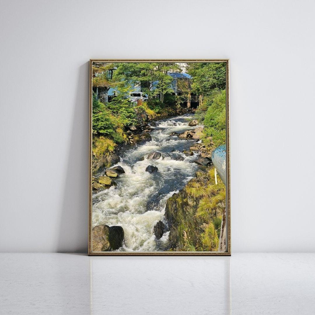 Alaska Salmon Ladder Print | Ketchikan Waterfall Photography | Nature ...
