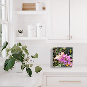 Magenta Spider Flower & White Peacock Butterfly Digital Print – Nature ...