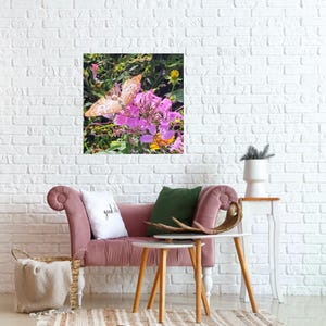 Magenta Spider Flower & White Peacock Butterfly Digital Print – Nature ...
