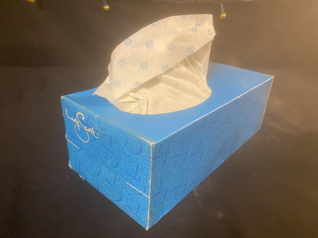 Vintage 1965 LADY SCOTT 200 Count Box of Facial Tissues 2ply - Etsy
