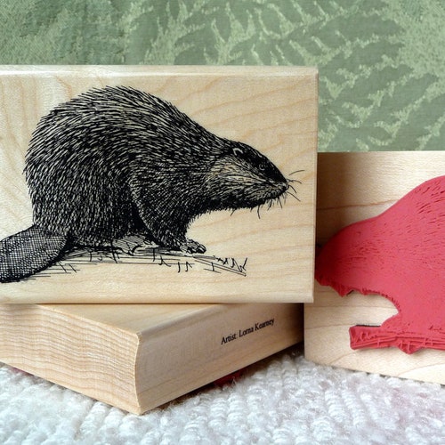 Beaver Rubber Stamp From Oldislandstamps - Etsy