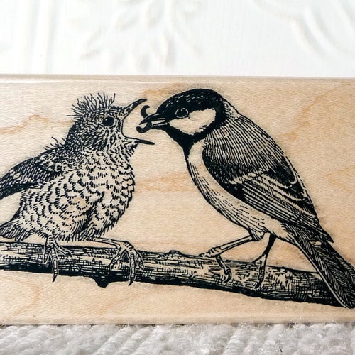 Robin Bird Feeding Baby Bird Rubber Stamp From Oldislandstamps - Etsy