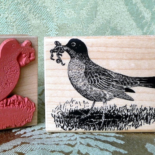 Robin Bird Feeding Baby Bird Rubber Stamp From Oldislandstamps - Etsy