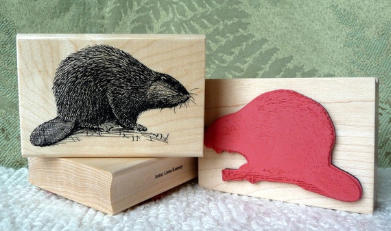 Beaver Rubber Stamp From Oldislandstamps - Etsy