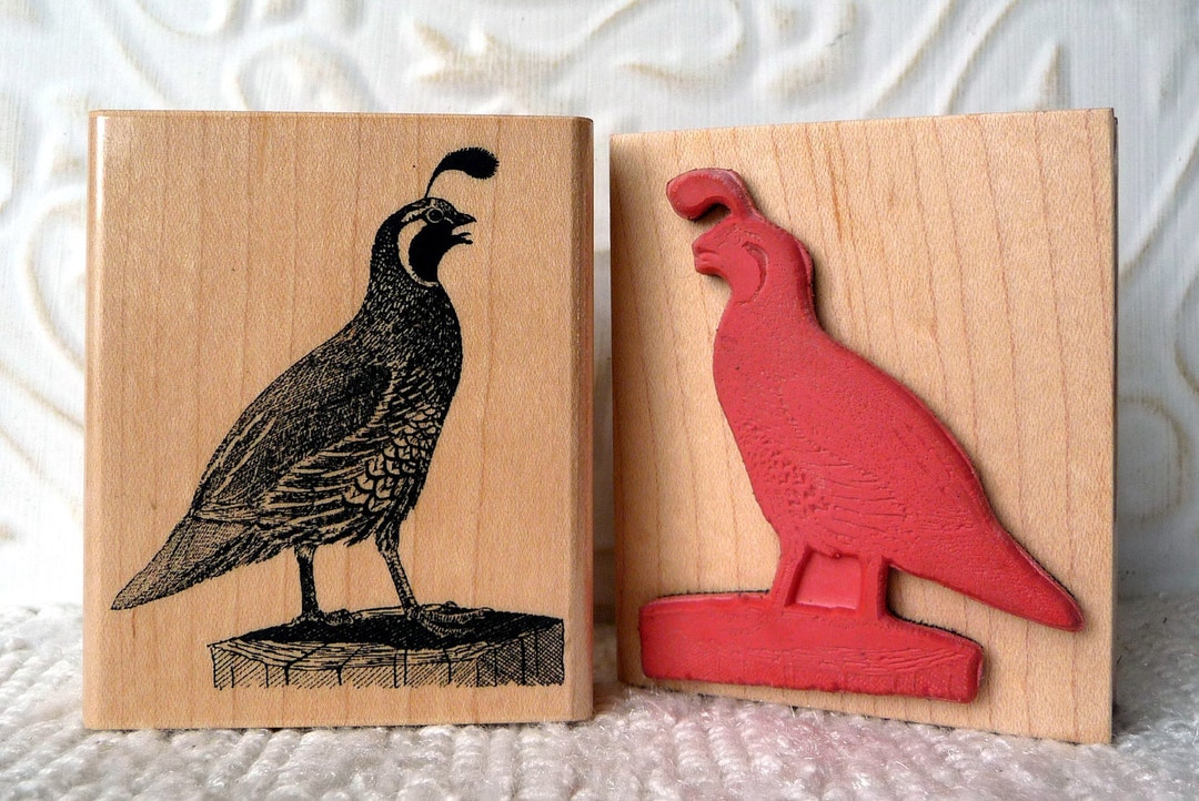 California Quail Rubber Stamp From Oldislandstamps - Etsy