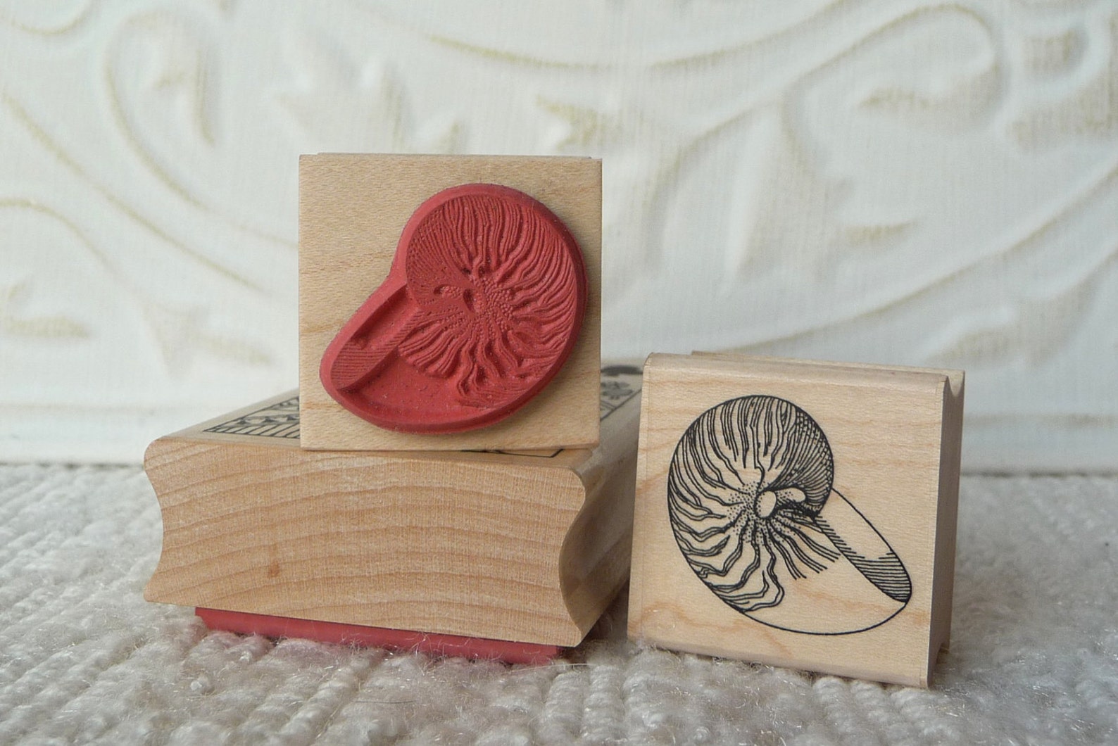 Nautilus Shell Rubber Stamp From Oldislandstamps - Etsy