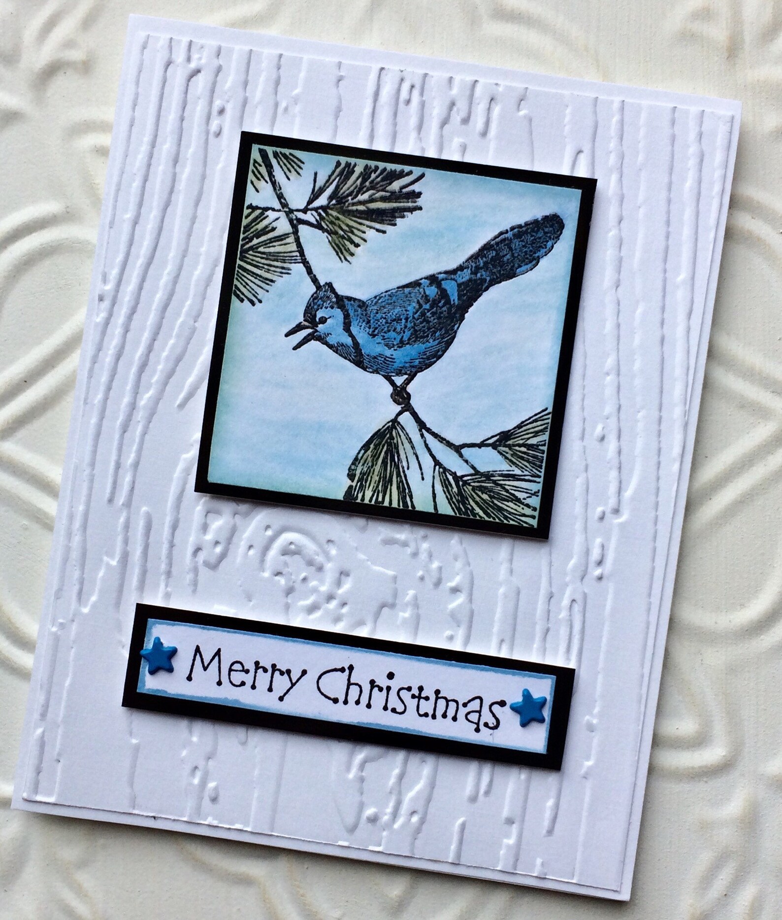 Blue Jay Bird Rubber Stamp From Oldislandstamps - Etsy