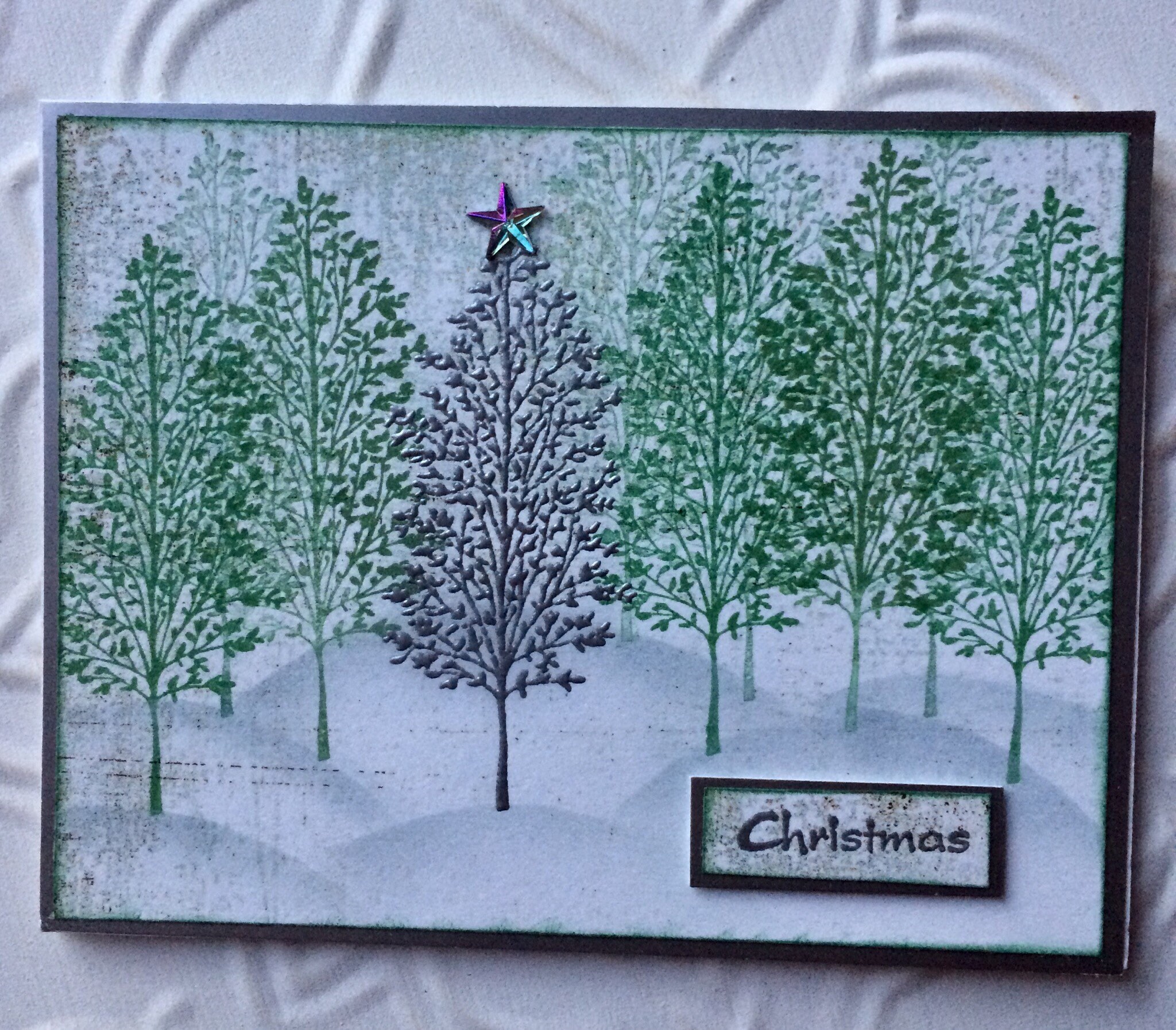 Tall Tree Rubber Stamp From Oldislandstamps - Etsy
