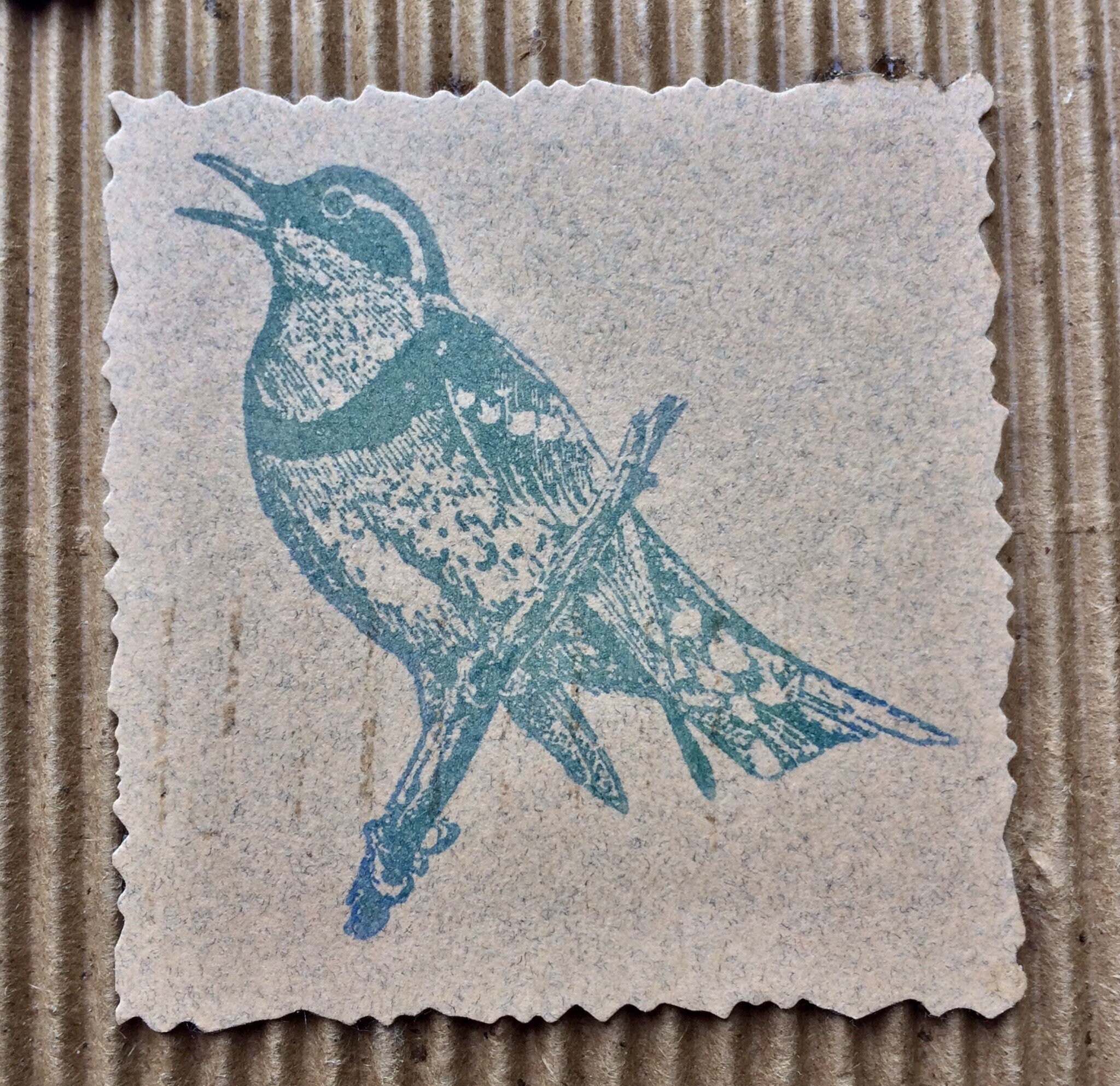 Varied Thrush Bird Rubber Stamp From Oldislandstamps - Etsy