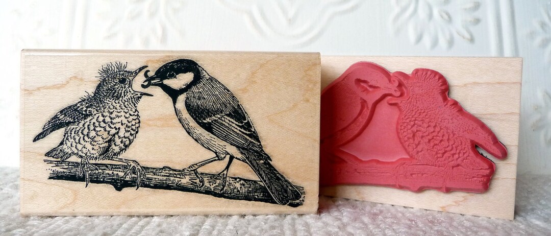 Robin Bird Feeding Baby Bird Rubber Stamp From Oldislandstamps - Etsy