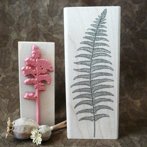 Large Fern Rubber Stamp From Oldislandstamps - Etsy