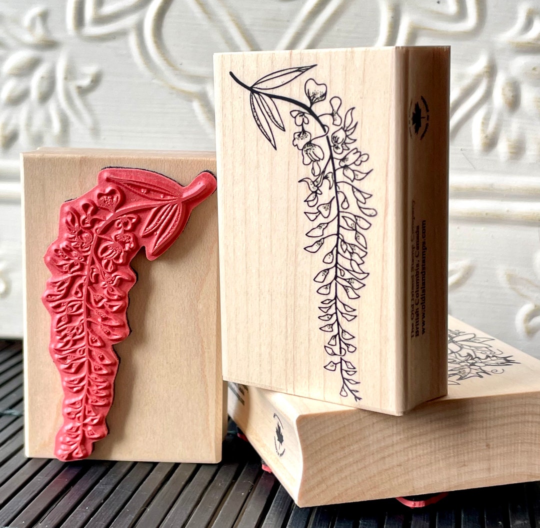 Wisteria Flower Rubber Stamp From Oldislandstamps - Etsy