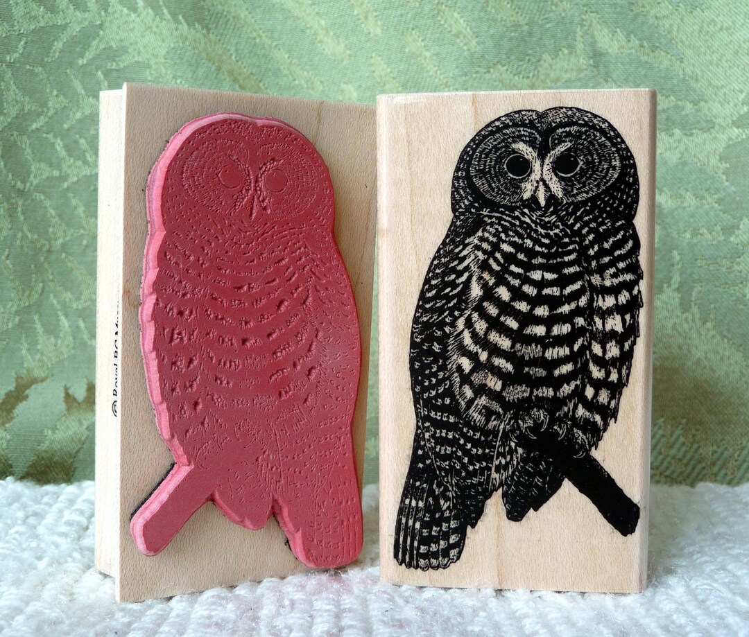 Spotted Owl Rubber Stamp From Oldislandstamps - Etsy
