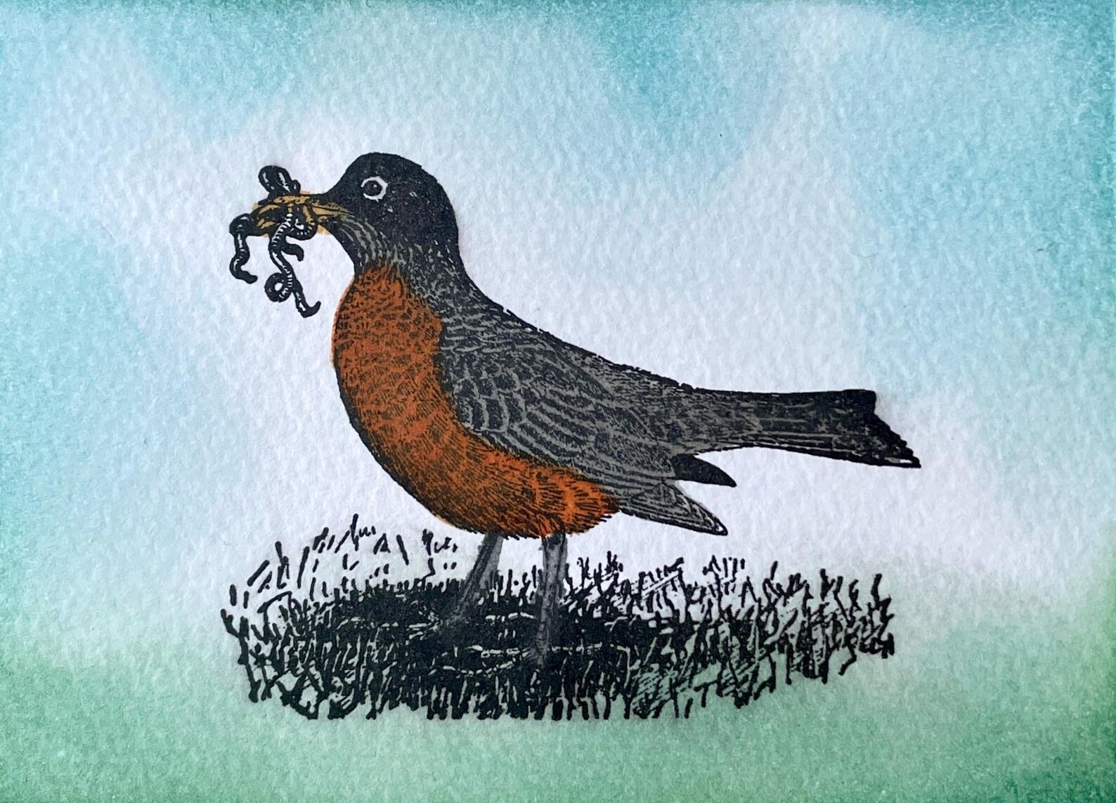 Robin Rubber Stamp From Oldislandstamps - Etsy