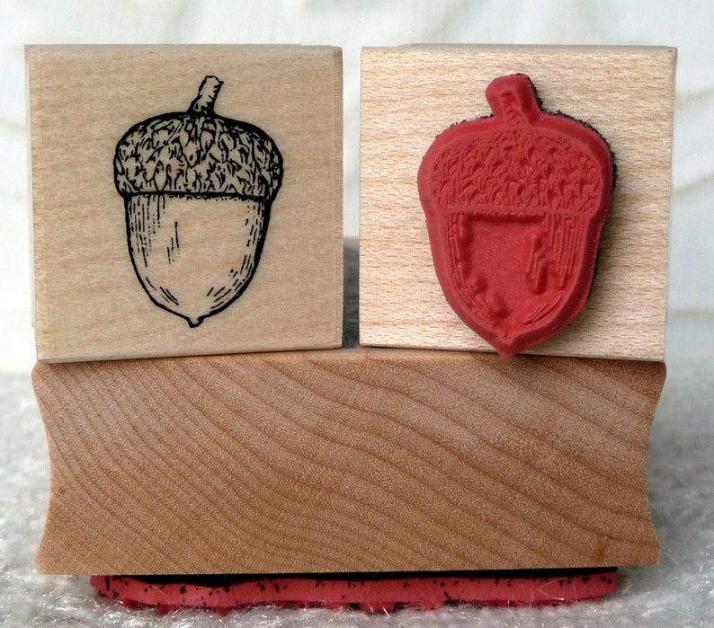 Acorn Rubber Stamp From Oldislandstamps - Etsy