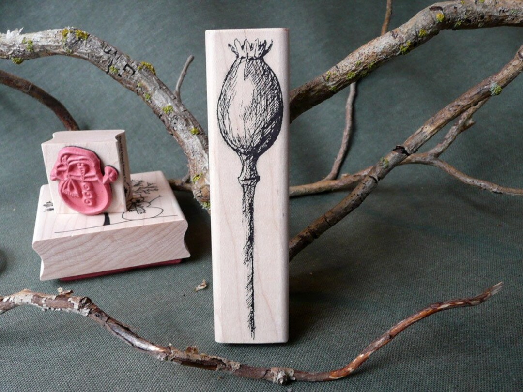 Poppy Pod Rubber Stamp From Oldislandstamps - Etsy