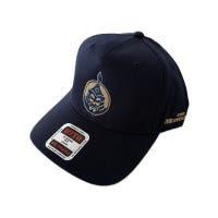 Ascendant Rank Valorant Baseball Cap, Esports Gaming Adjustable Hat - Etsy