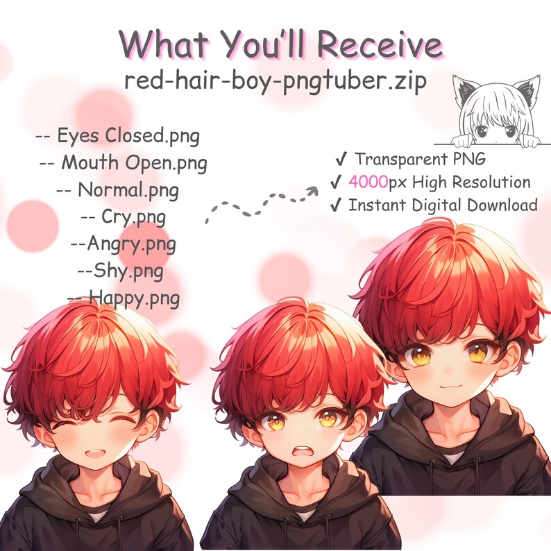 Chibi Boy Pngtuber Model Kawaii Anime Avatar 20 Expressions for ...
