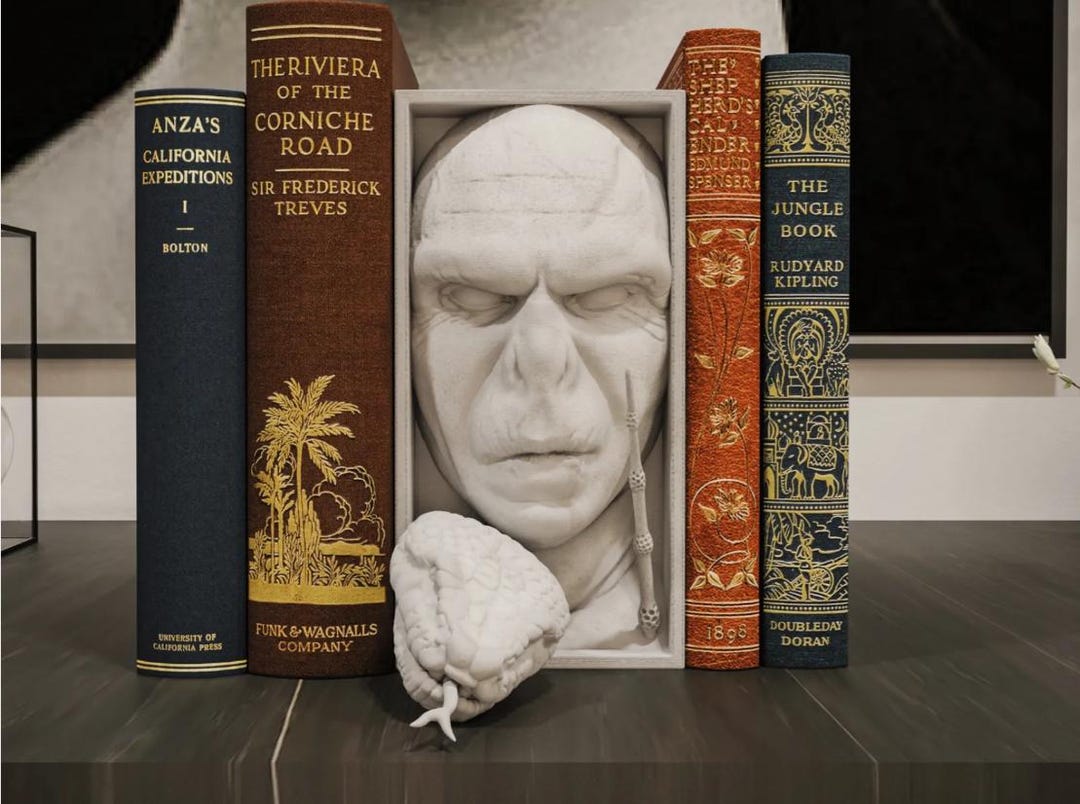 Voldemort Book Nook Harry Potter Book Nook - Etsy