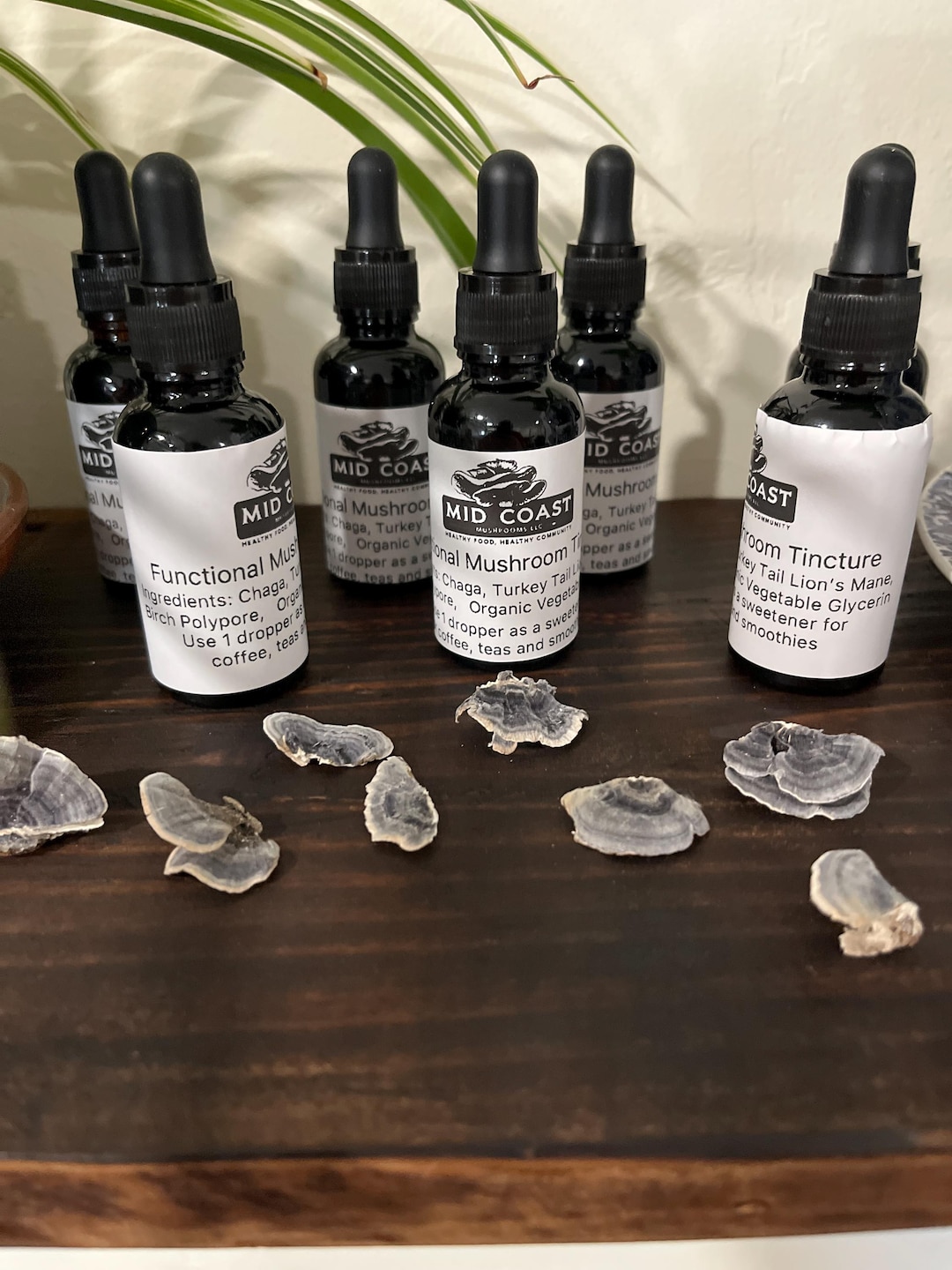 Functional Mushroom Tincture (turkey Tail, Chaga, Lion's Mane, Birch Polypore) - Etsy