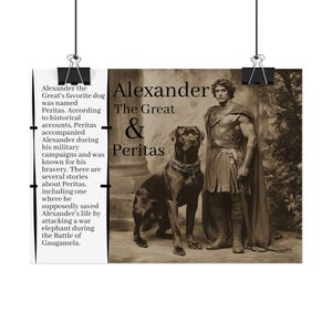 Historical Alexander & Peritas Rolled Poster - Inspirational Wall Art ...