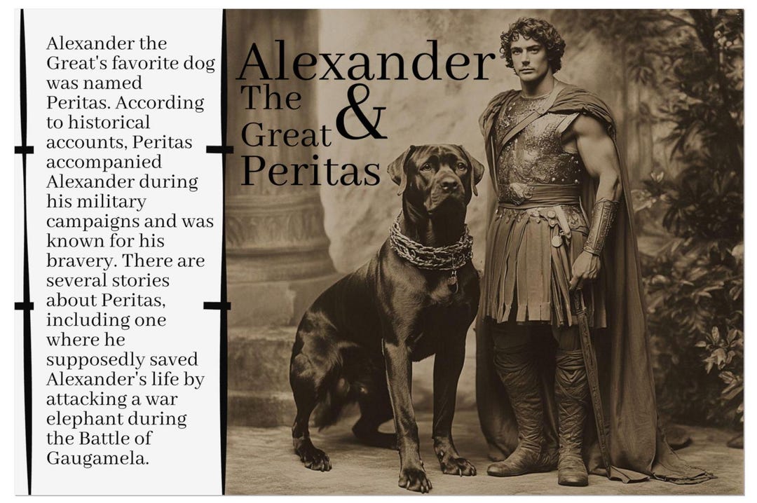 Historical Alexander & Peritas Rolled Poster Inspirational Wall Art ...