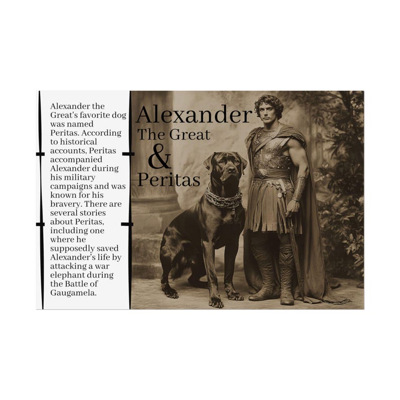 Historical Alexander & Peritas Rolled Poster - Inspirational Wall Art ...