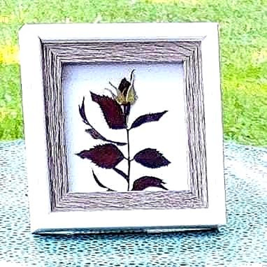 Real Pressed Red Rose Framed Flower Art/framed Dried Rose Bud Picture ...