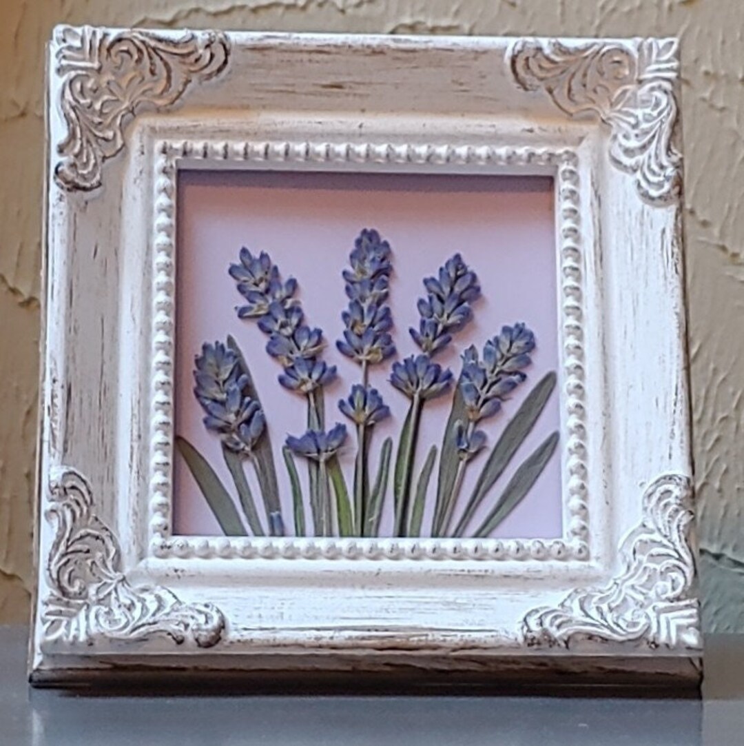 Pressed Purple LAVENDER Framed Herbal Art/framed Lavender Picture ...