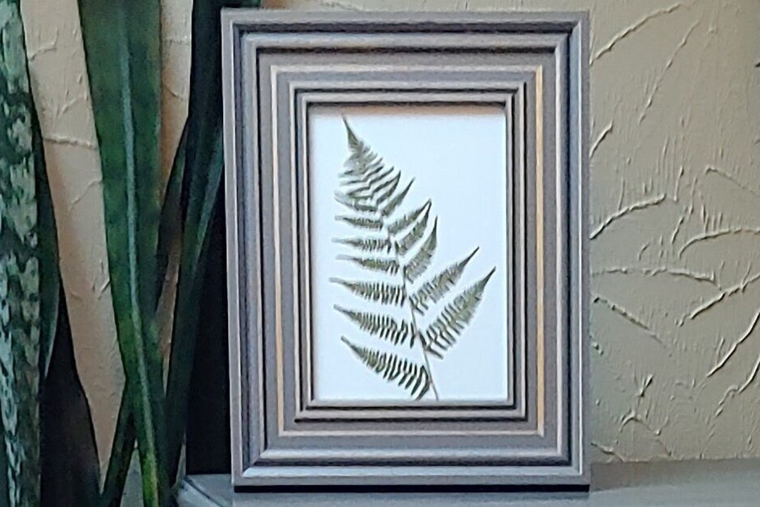 Real Pressed Framed FERN Botanical Art/tabletop Fern Picture/dried Fern ...
