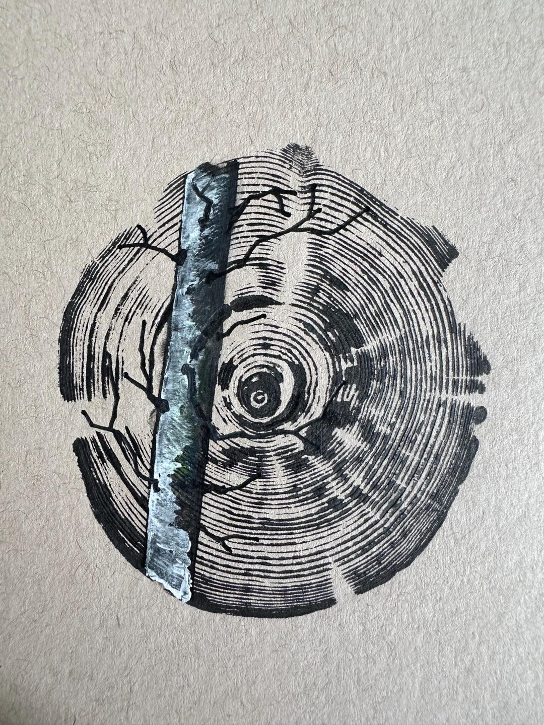 Original Tree Ring Art, Arborist, Forestry, Tree Rounds, Tree Stump ...
