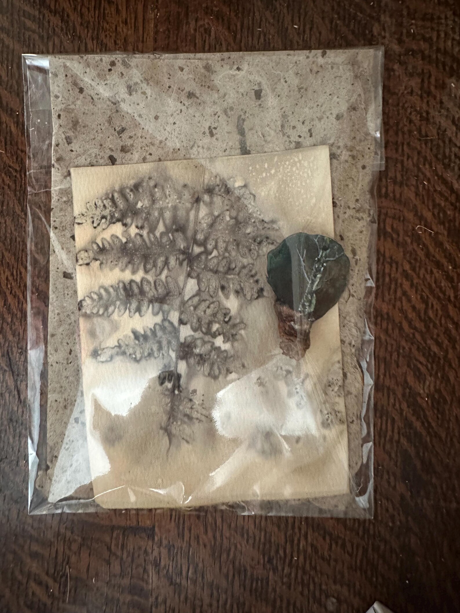 Artist Conk Art | Mini | Eco Print | Gift Set | Mushroom | Forest ...