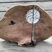 Artist Conk Art | Eco Print | Gift Set | Mushroom | Moon | Canvas ...