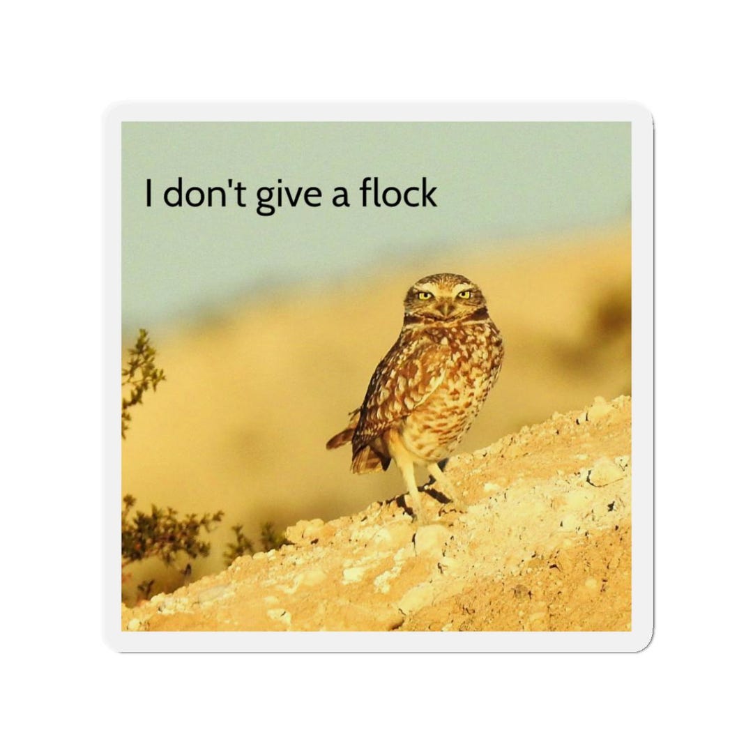 Burrowing Owl i Don't Give a Flock Die-cut Magnet - Etsy