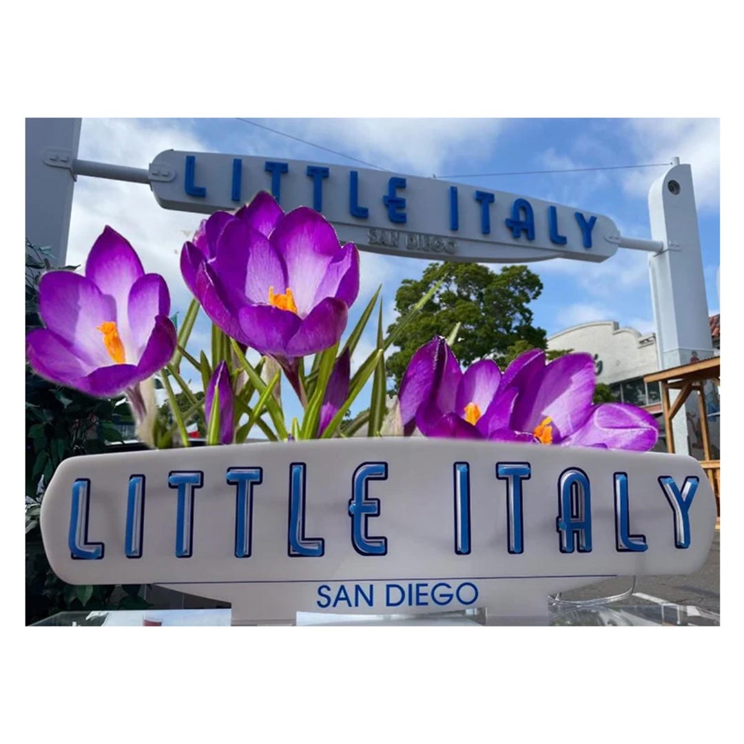 Little Italy, San Diego Sign, Neon Sign, LED Wall Art, California Sign ...