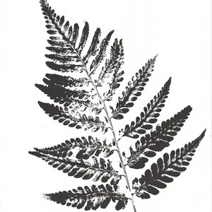 Fern Frond Monoprint, Botanical Print, Original Art, 8.5 X 11 Inch ...