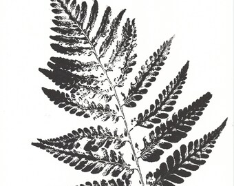 Ferns Monoprint, Botanical Print, Original Art, 8.5 X 11 Inch, Black ...