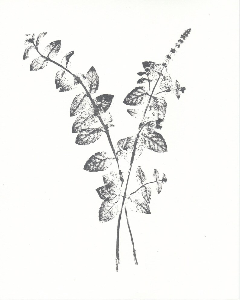 Strawberry Mint Monoprint, Botanical Print, Original Art, 8 X 10 Inch ...